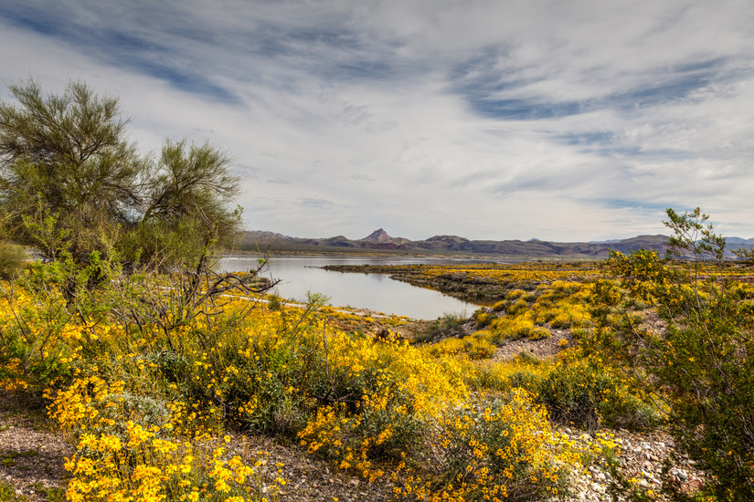 10 State Parks In Arizona Known For Scenic Campsites
