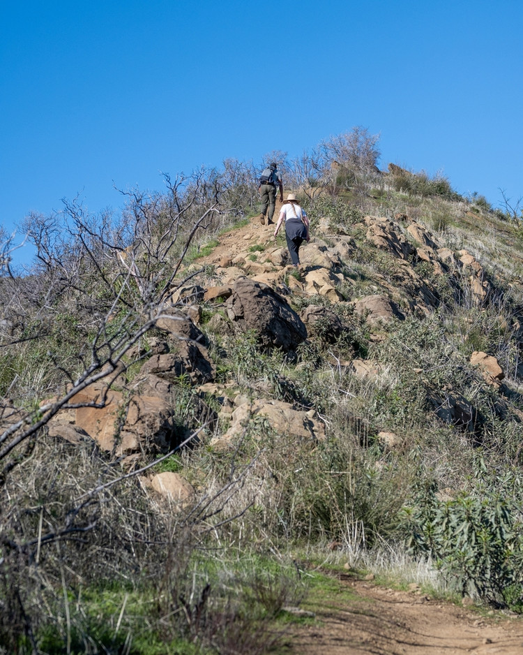 10 Bucket List Hikes In Northern California, Ranked By Their AllTrails ...