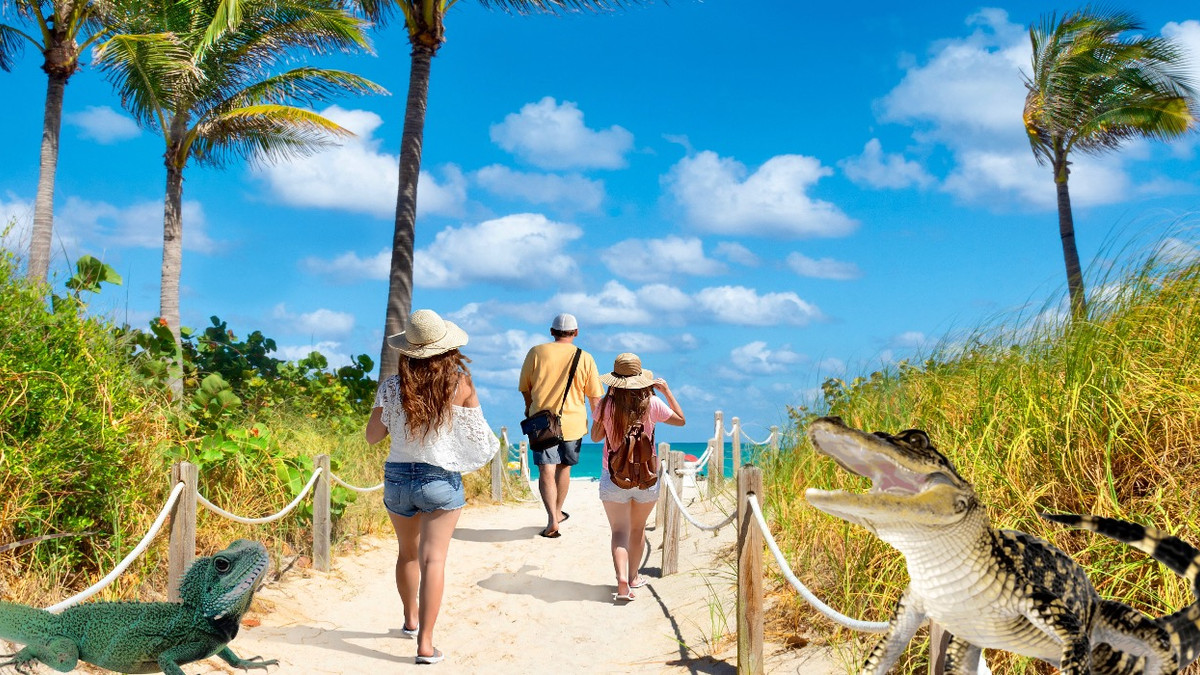 10 Top-Rated Beach Hikes in Florida