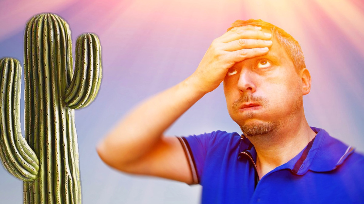 7 Things About What It's Really Like Living In Phoenix