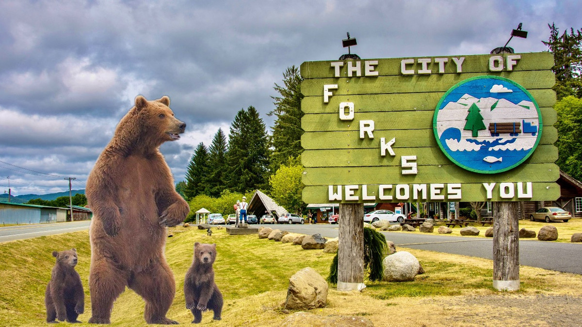 7 Scenic Small Towns Right Next To Major Washington National Parks