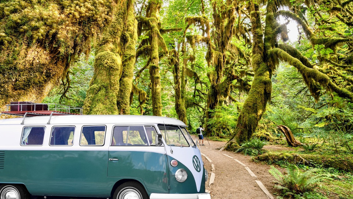 8 Washington National Park Road Trips With Scenic Stops