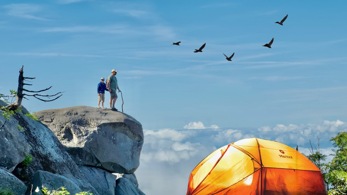 8 Scenic Hikes In The Smoky Mountains