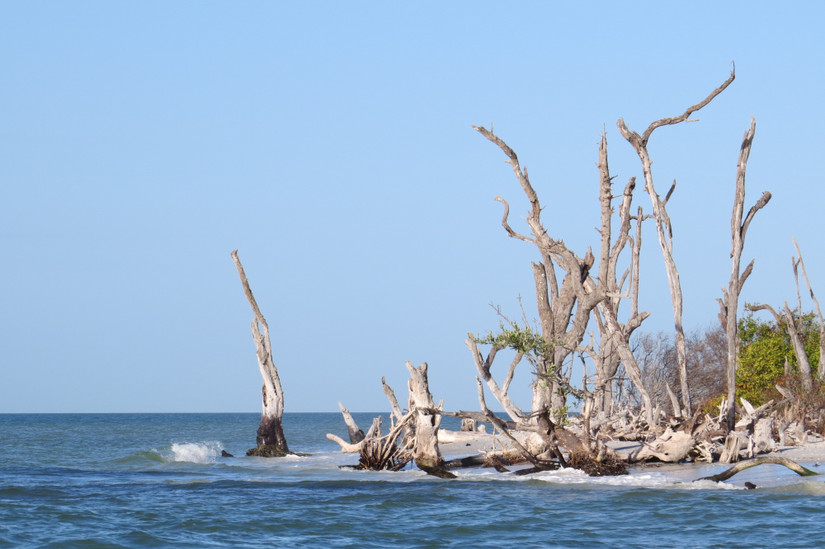 Cabbage Key: A Scenic But Underrated Small Resort Island