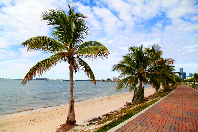 7 Beaches In Miami With The Clearest Water