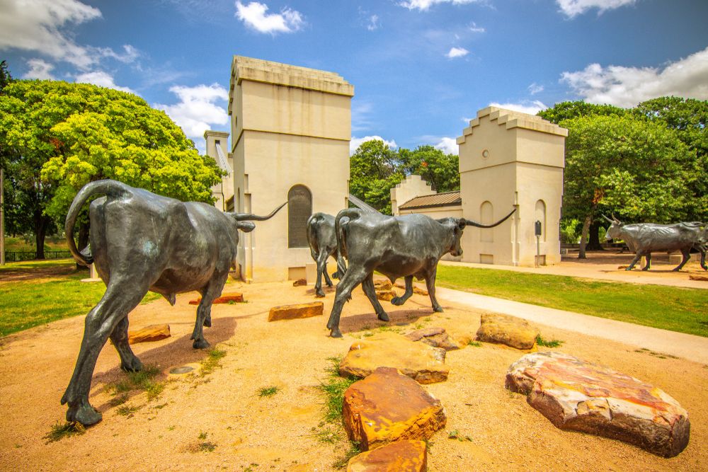 7 Spots To See Real Cowboy Culture In Texas