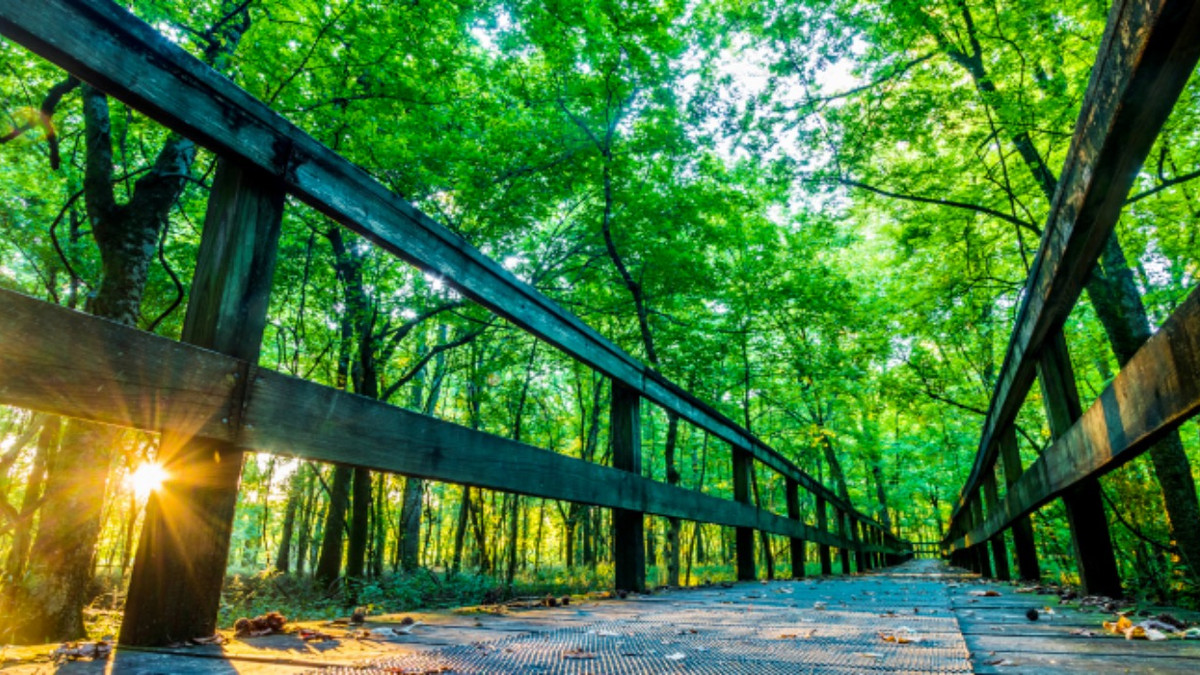 Where To Stop Along The Natchez Trace Parkway