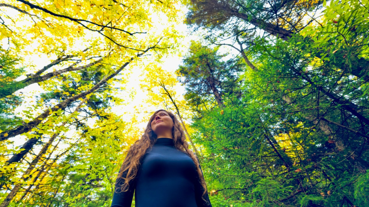 5 Things I Learned My First Night On The Appalachian Trail