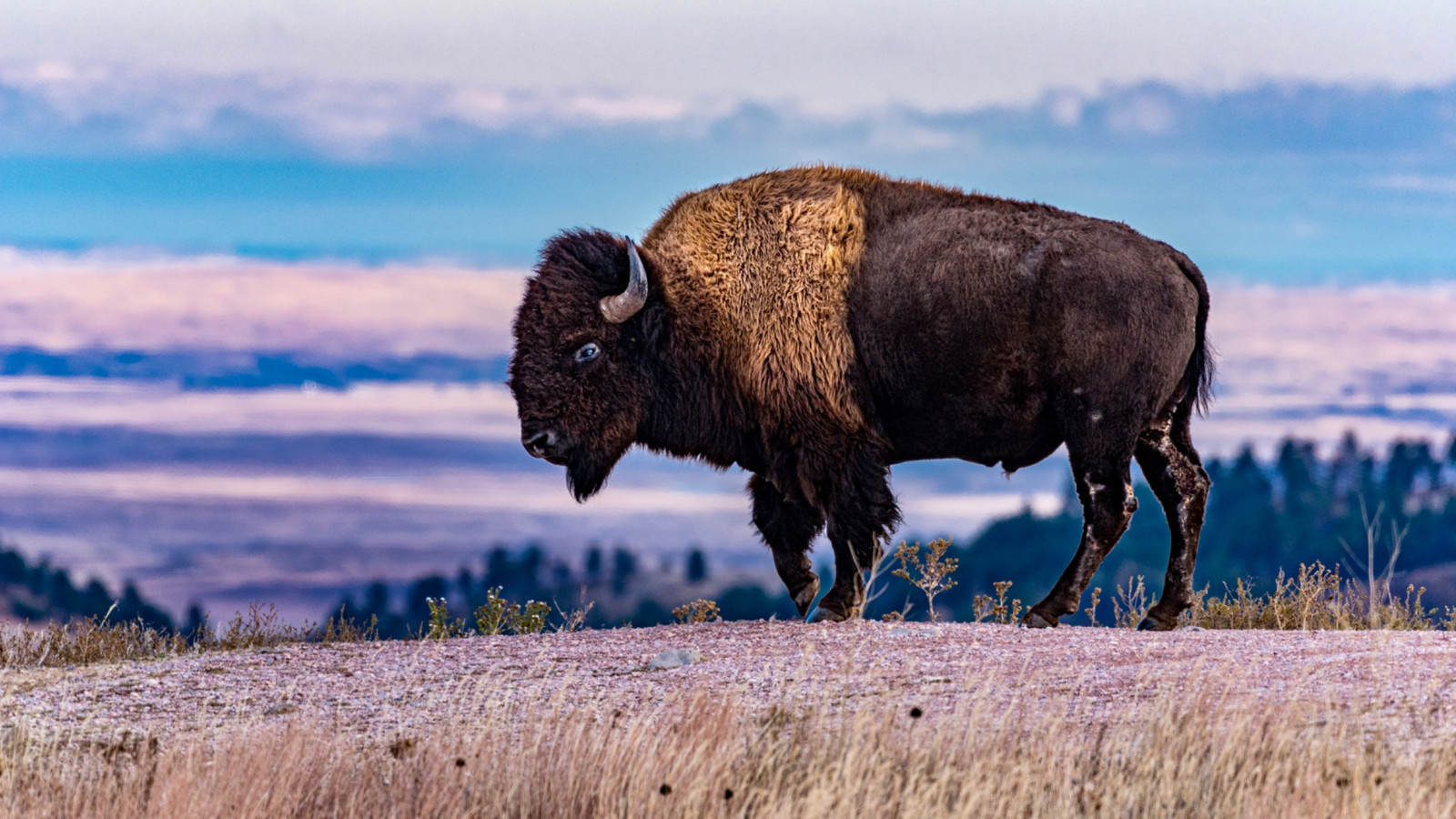Skip Badlands For South Dakota's Other National Park