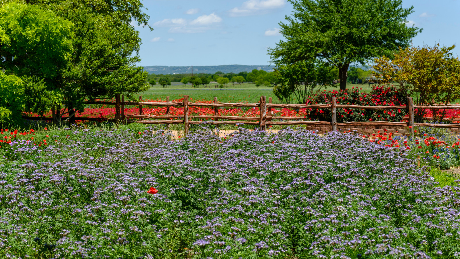 This Small Texas Town Is The "Germany Of Texas"