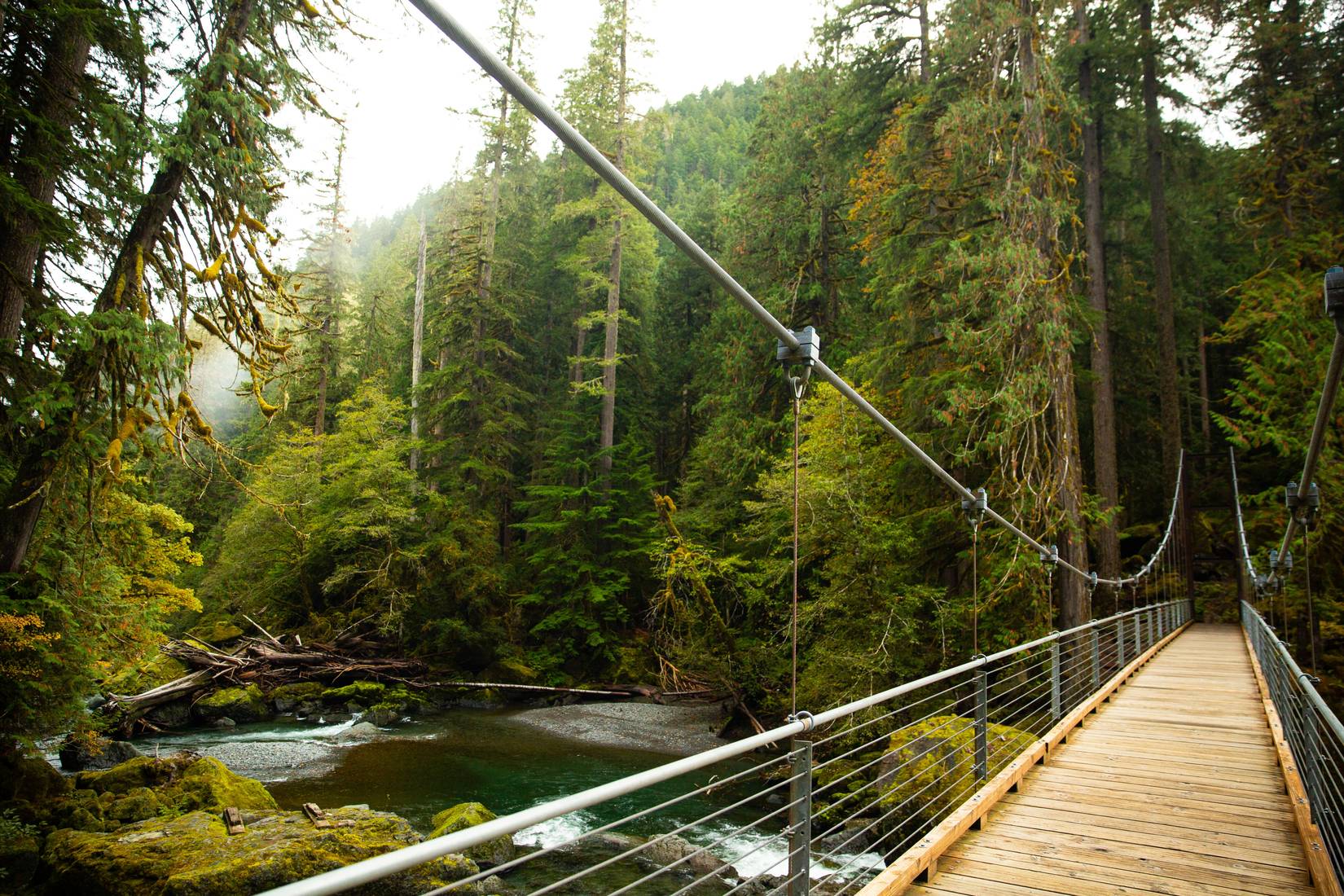 7 Easy Hikes In Olympic National Park
