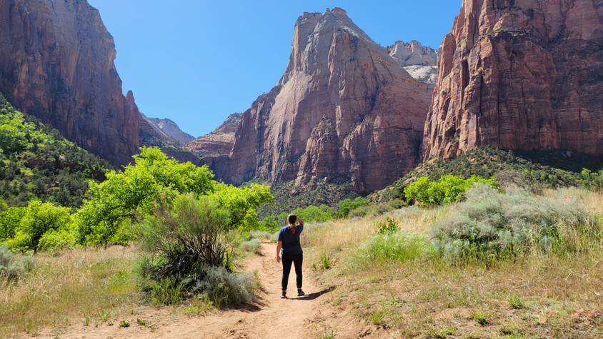 Here's How We Planned A Kid-Friendly Zion Trip (& Loved It)