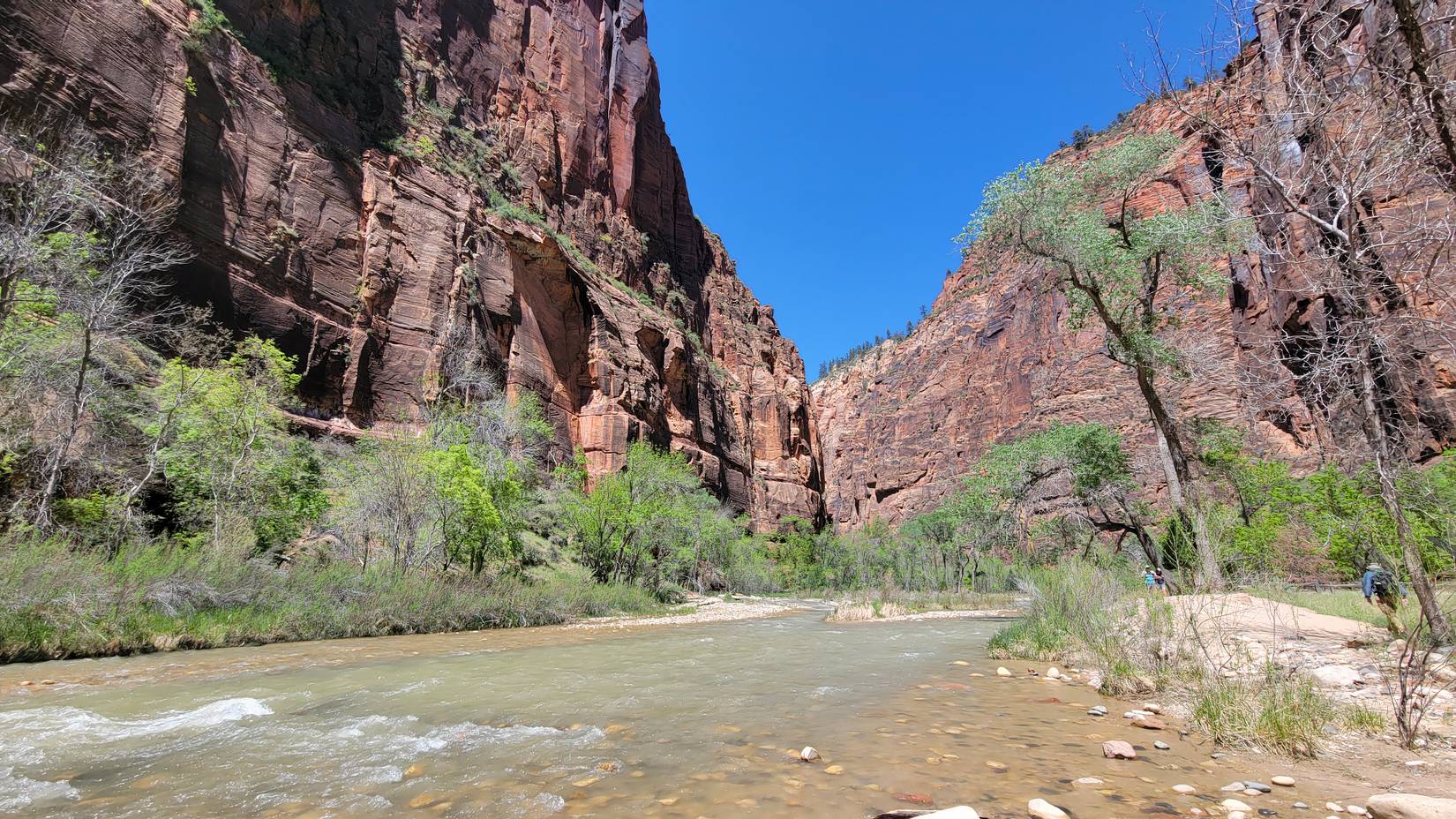 7 Amazing Things We Did With Only 48 Hours In Zion National Park