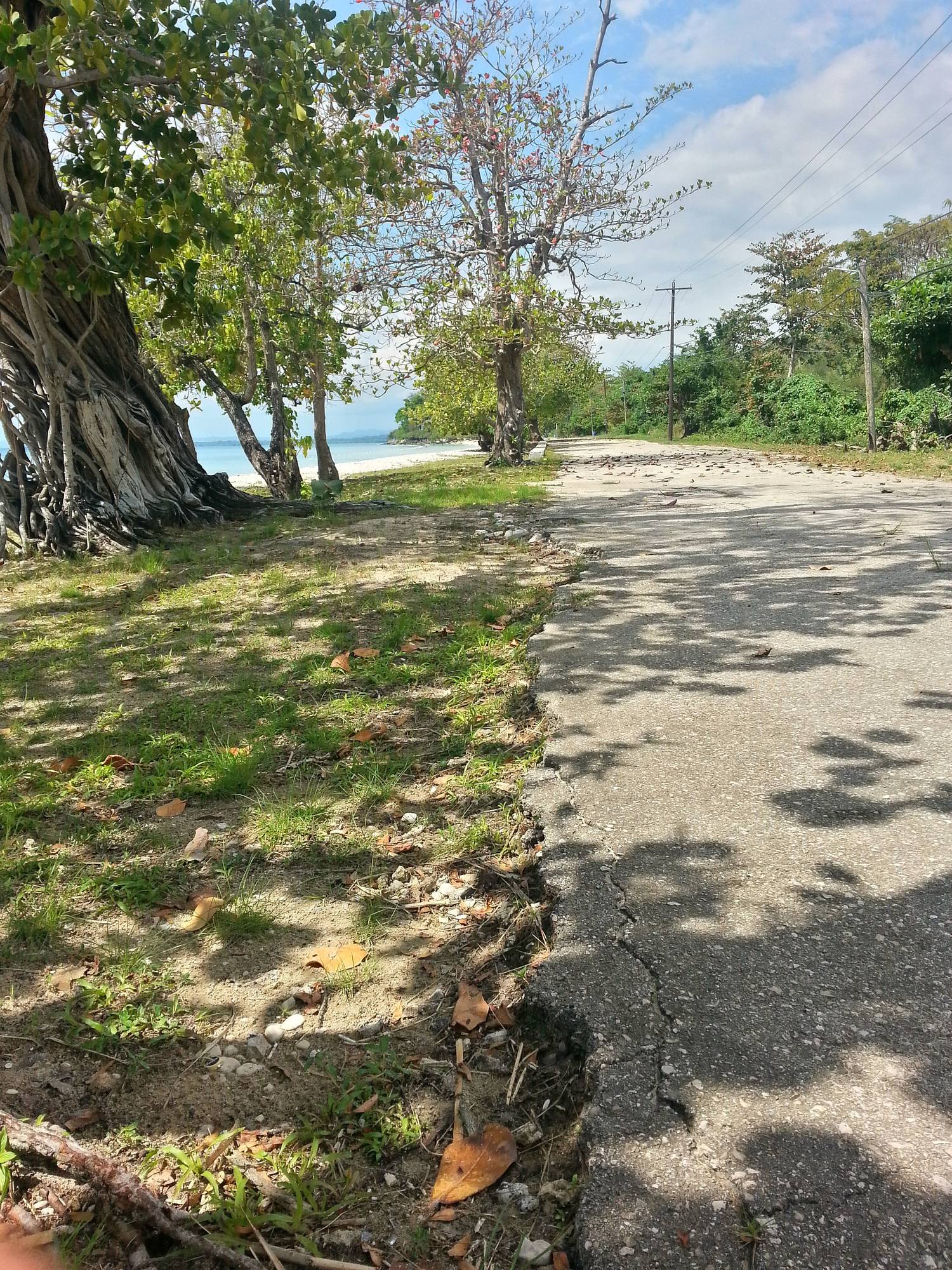 12 All-Inclusive Resorts In The Caribbean Perfect For Big Families