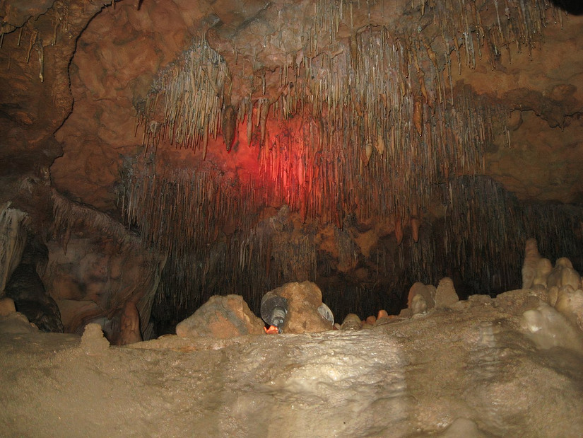 Florida Has A Hidden Gem In This Unique State Park
