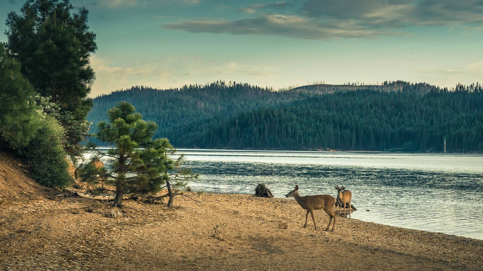 8 Most Hike-Friendly Towns In California