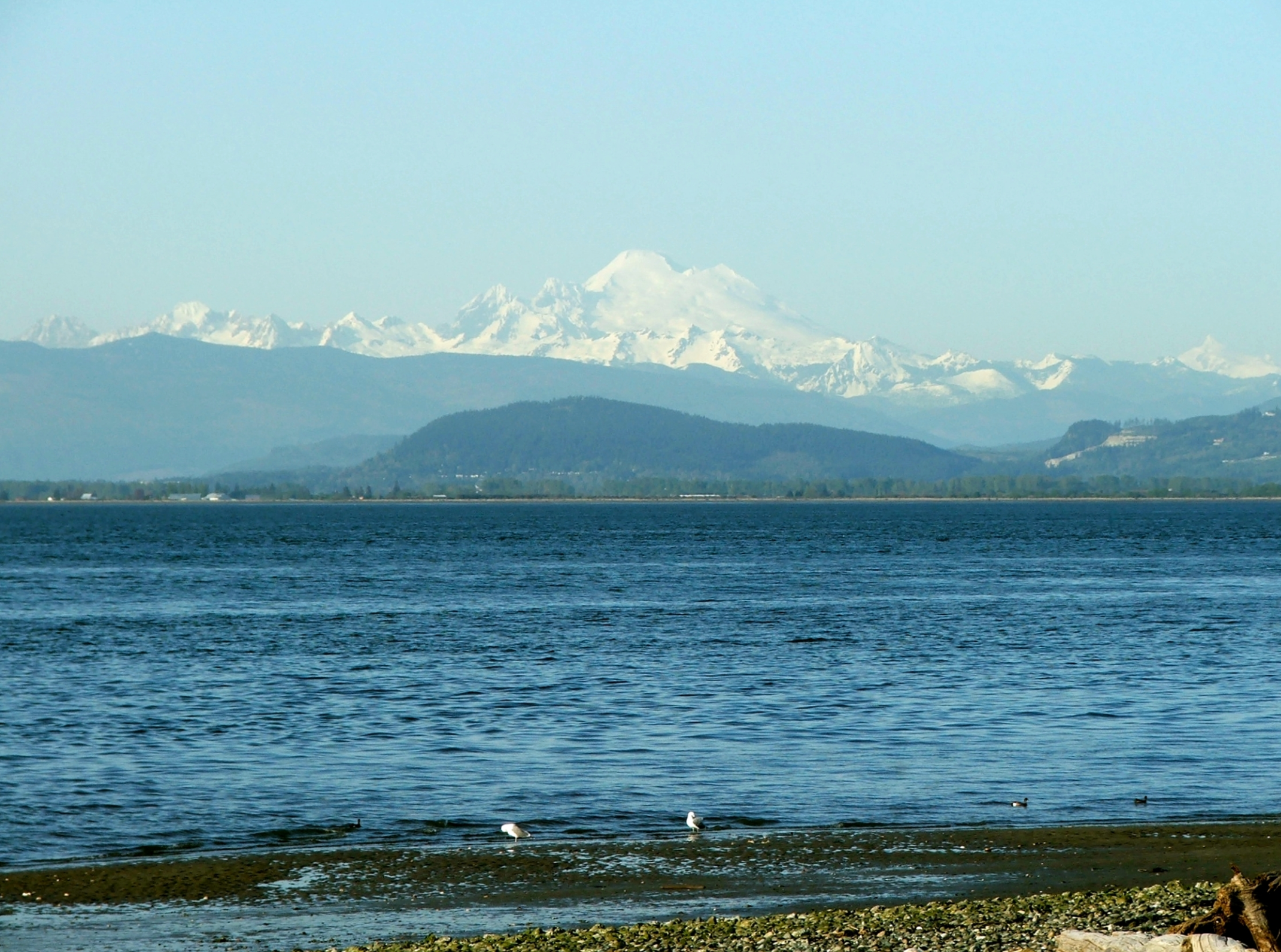7 Best Beaches Within A 1-Hour Drive Of Seattle