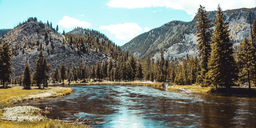 Yellowstone National Park Finally Unbans One Of Visitors’ Favorite ...