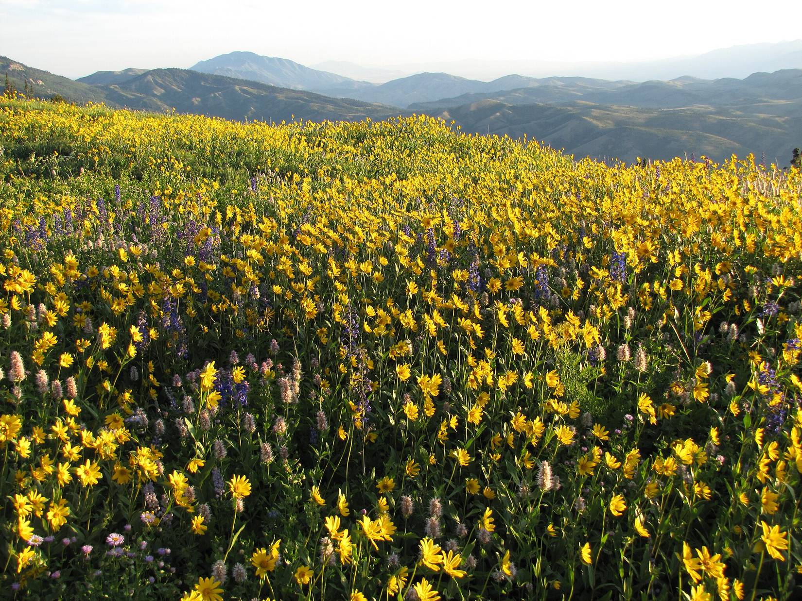 7 Scenic But Tough Hikes In Utah