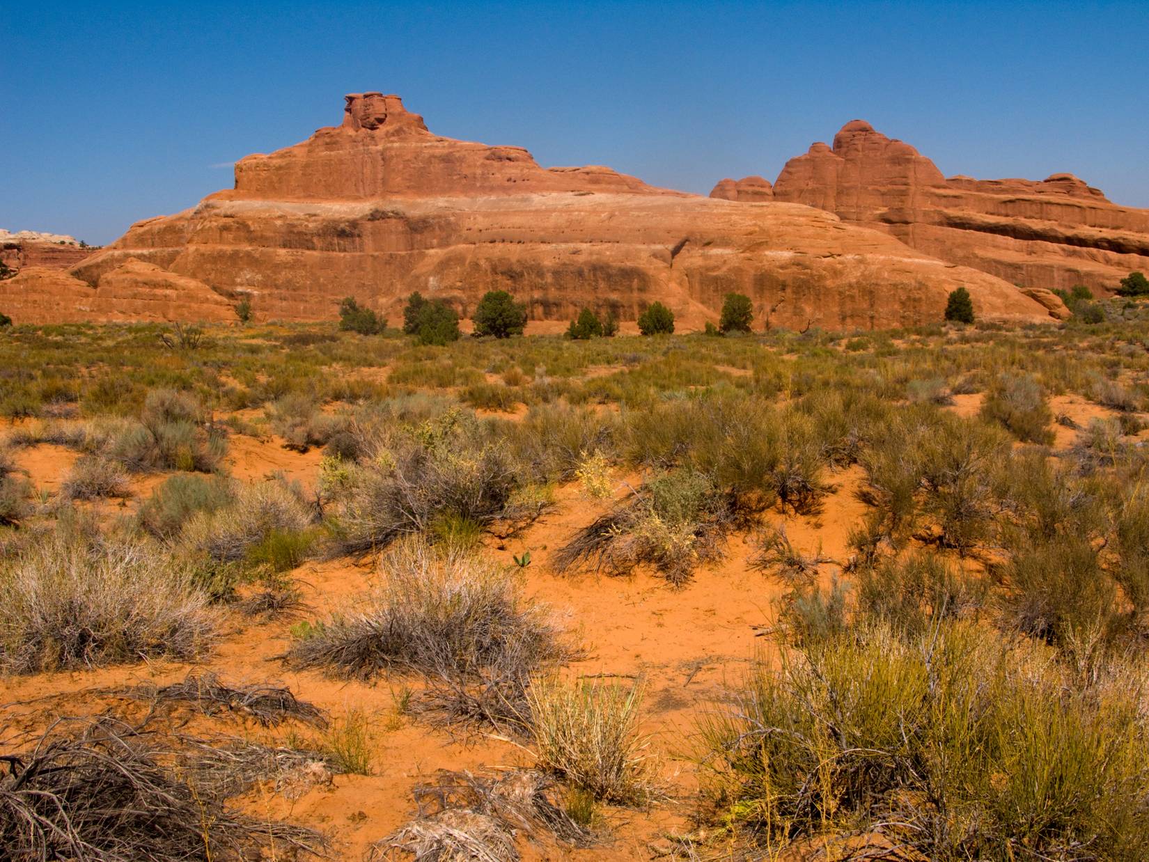 7 Scenic But Tough Hikes In Utah