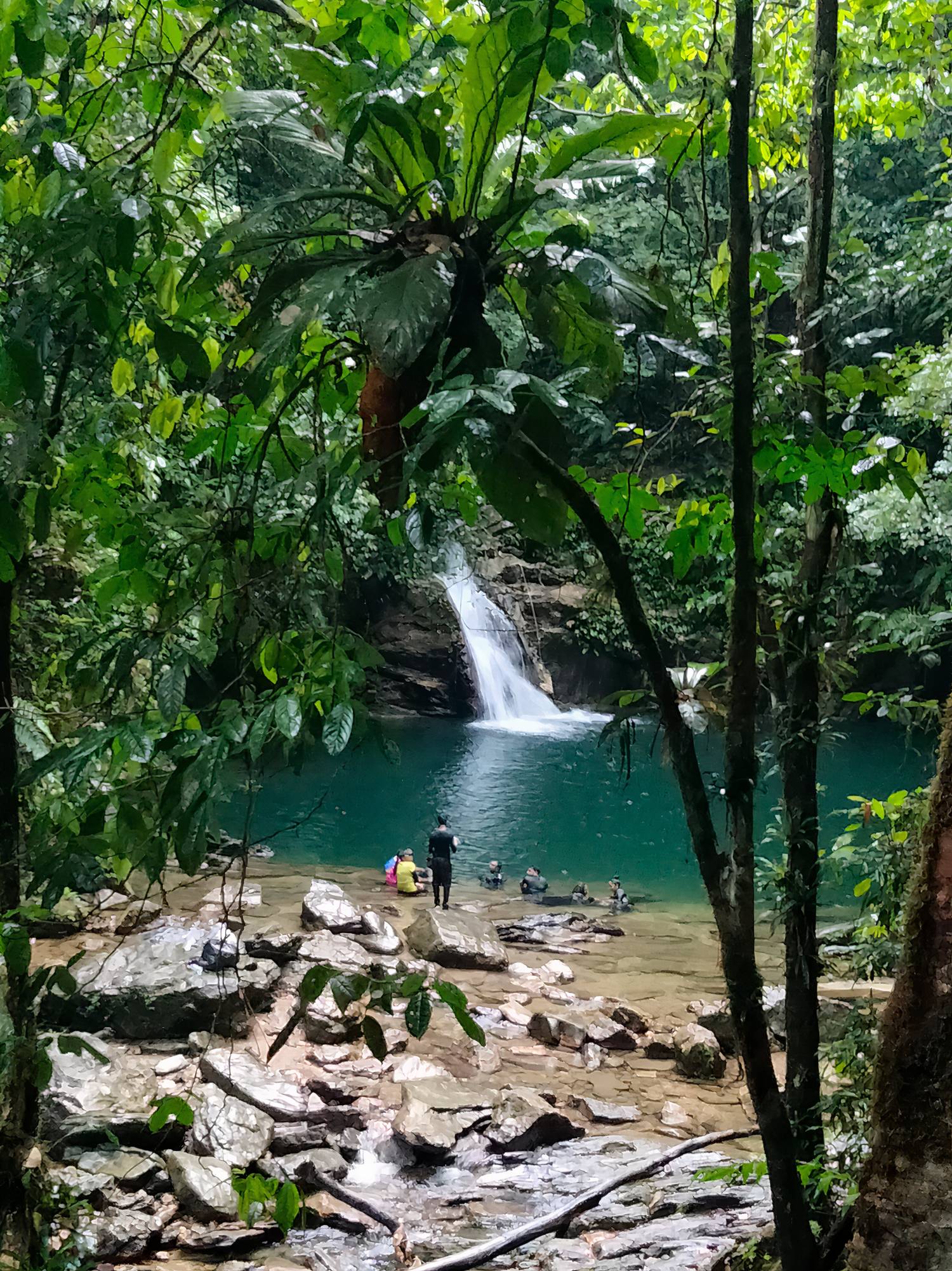 The Top 8 Hikes I've Done in Trinidad