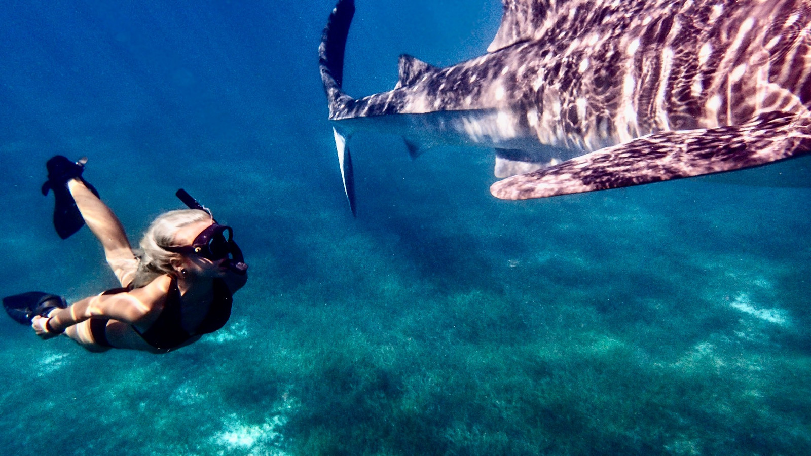 8 Best Snorkel Spots In Aruba For The Summer