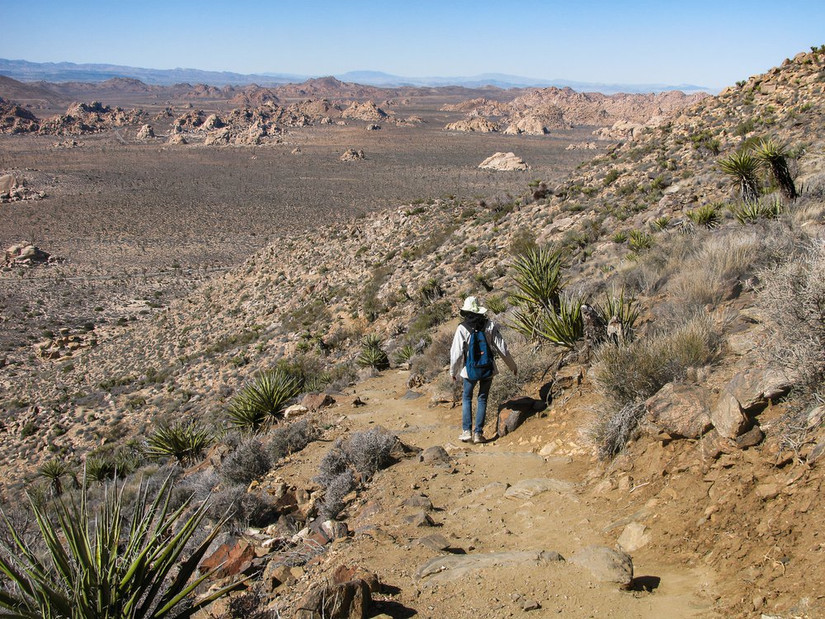 Maybe Don’t Ignore Safety Warnings: How I Survived A Joshua Tree ...