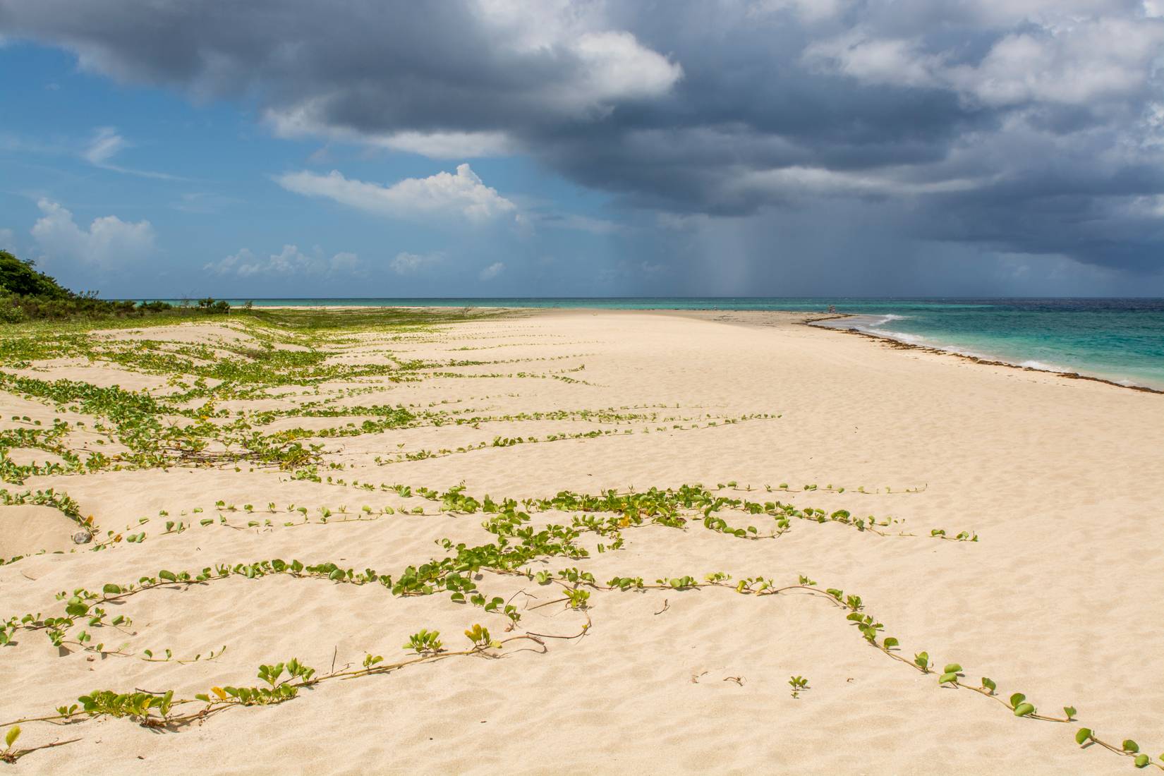 8 Caribbean Beaches That Are Scenic, But Nearly Always Empty