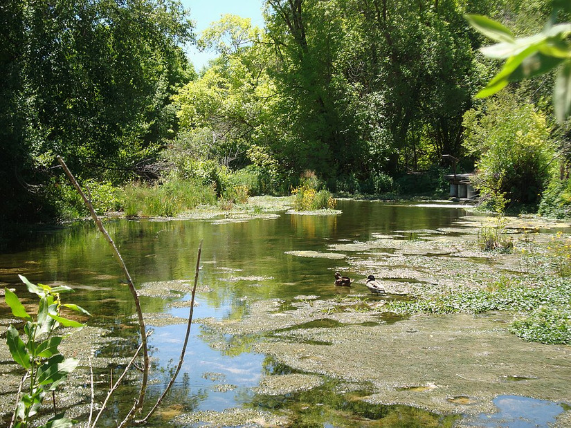 7 Hikes To Beat The Heat In Utah This Summer
