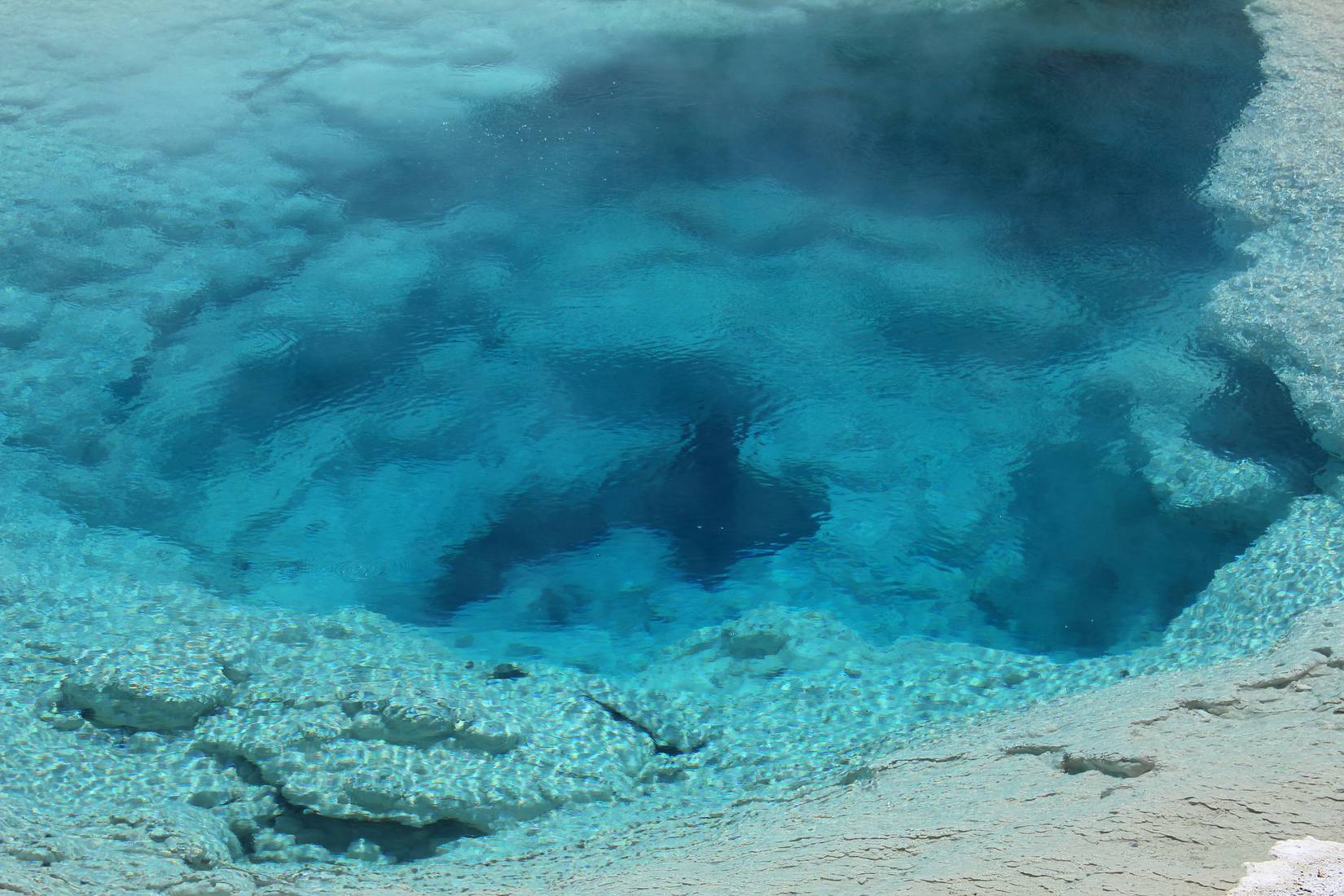 8 Strangest Things Found In The Deep Sea