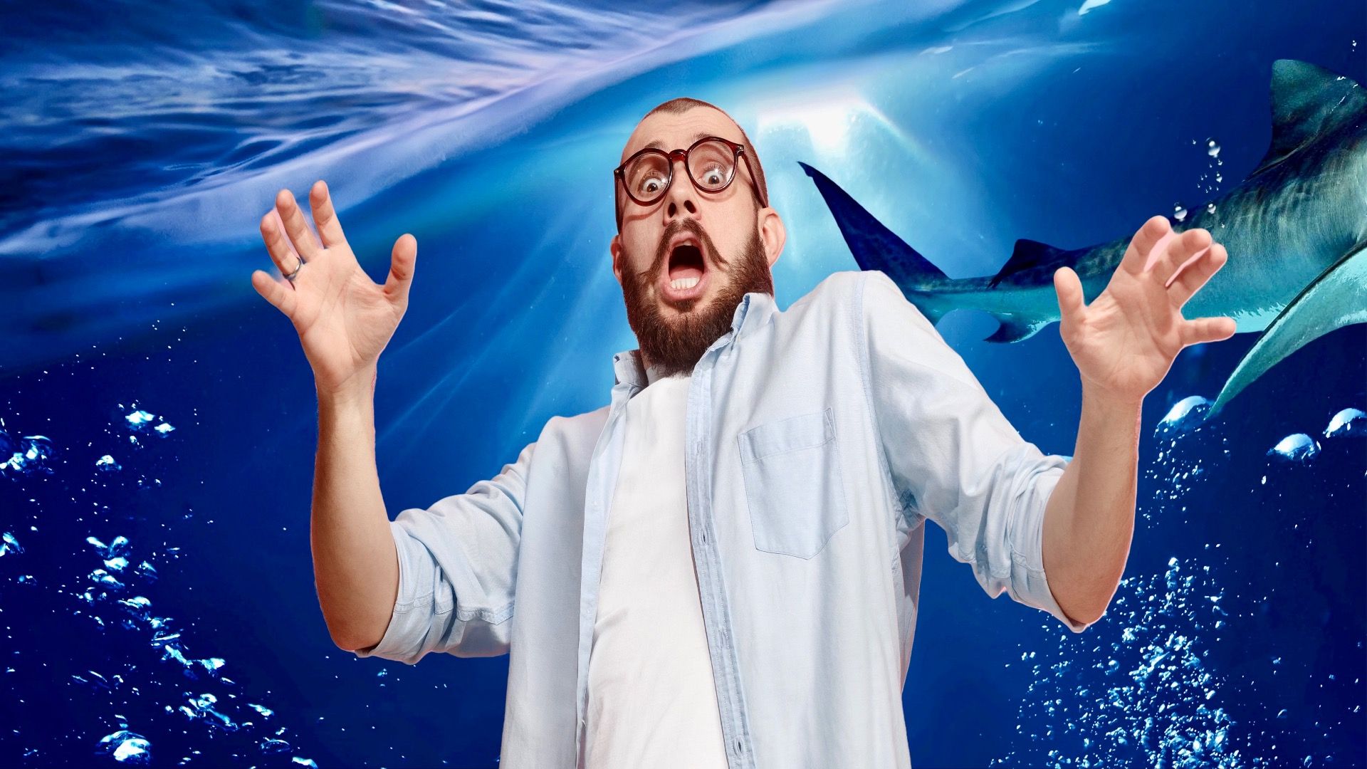 Hate Sharks? Do NOT Come To These Beaches