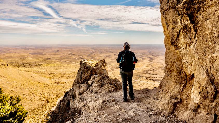 This Bizarre Texas Creature Shoots Blood From Its Eyes For A Very ...