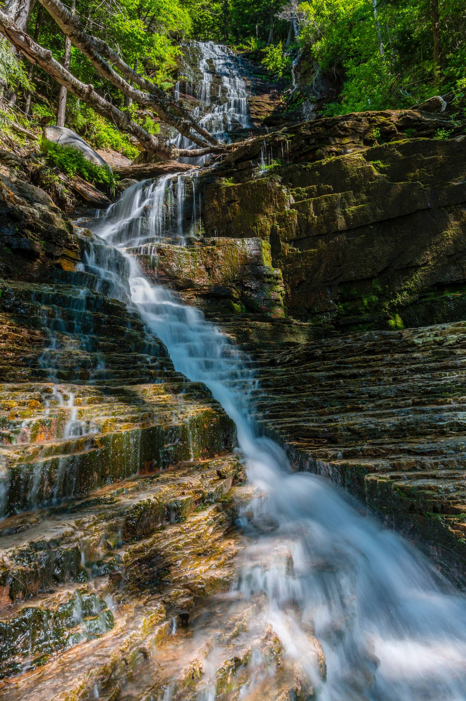 7 Best Hikes In The Green Mountains Of Vermont