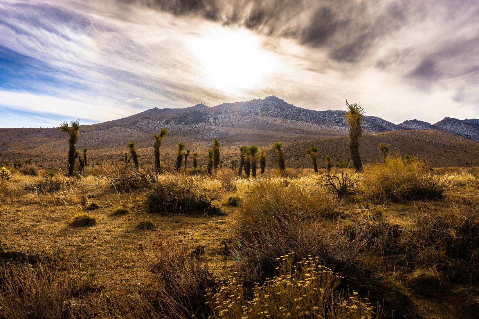 7 California Towns With The Best Quality Of Life In The Sierra Nevadas
