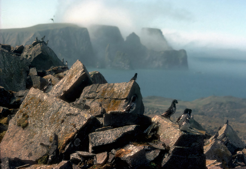 Want To Visit The Most Remote Place In America? Alaska Is Your Next Stop