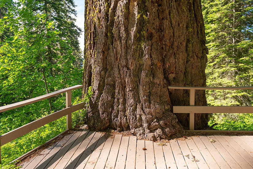 The Most Underrated But Scenic Hikes In Oregon's 6 National Parks
