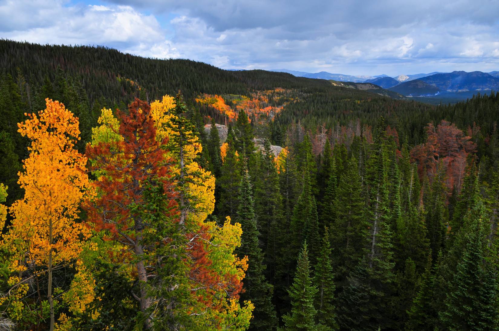 Colorado's Most Charming Small Town Has A Top National Park On Its Doorstep