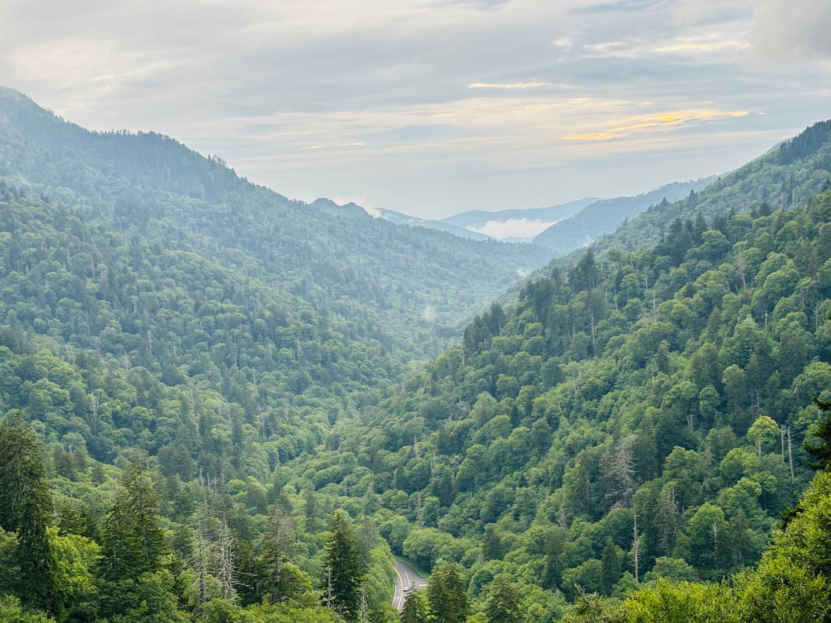 7 Steepest Hikes With The Most Elevation Gain In North Carolina