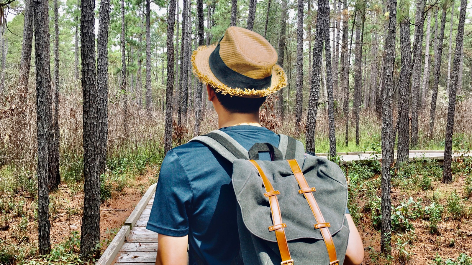 7 Bayou Hikes That Are More Scenic Than Swampy
