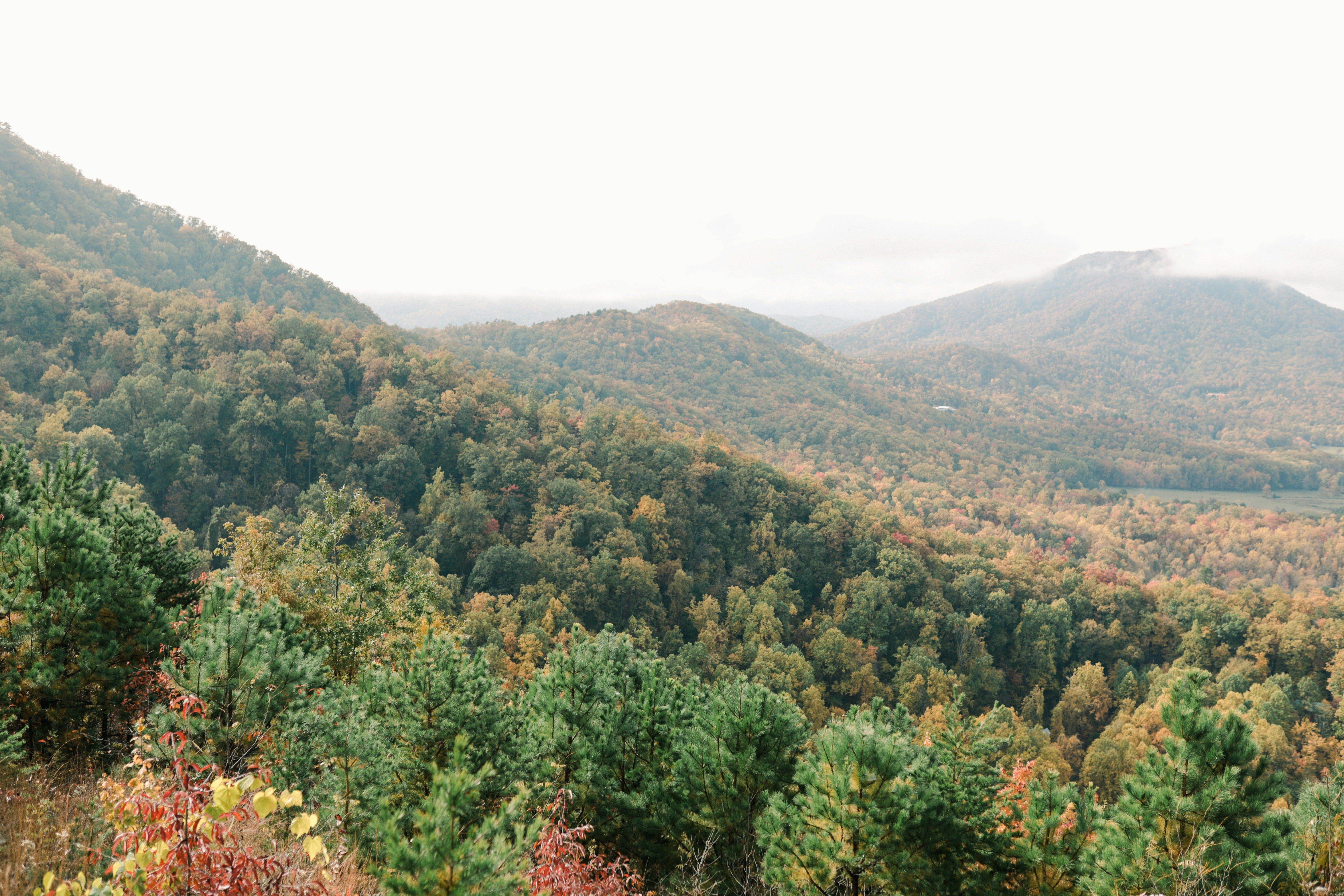 7 Tennessee Towns With The Best Quality Of Life In The Smokies