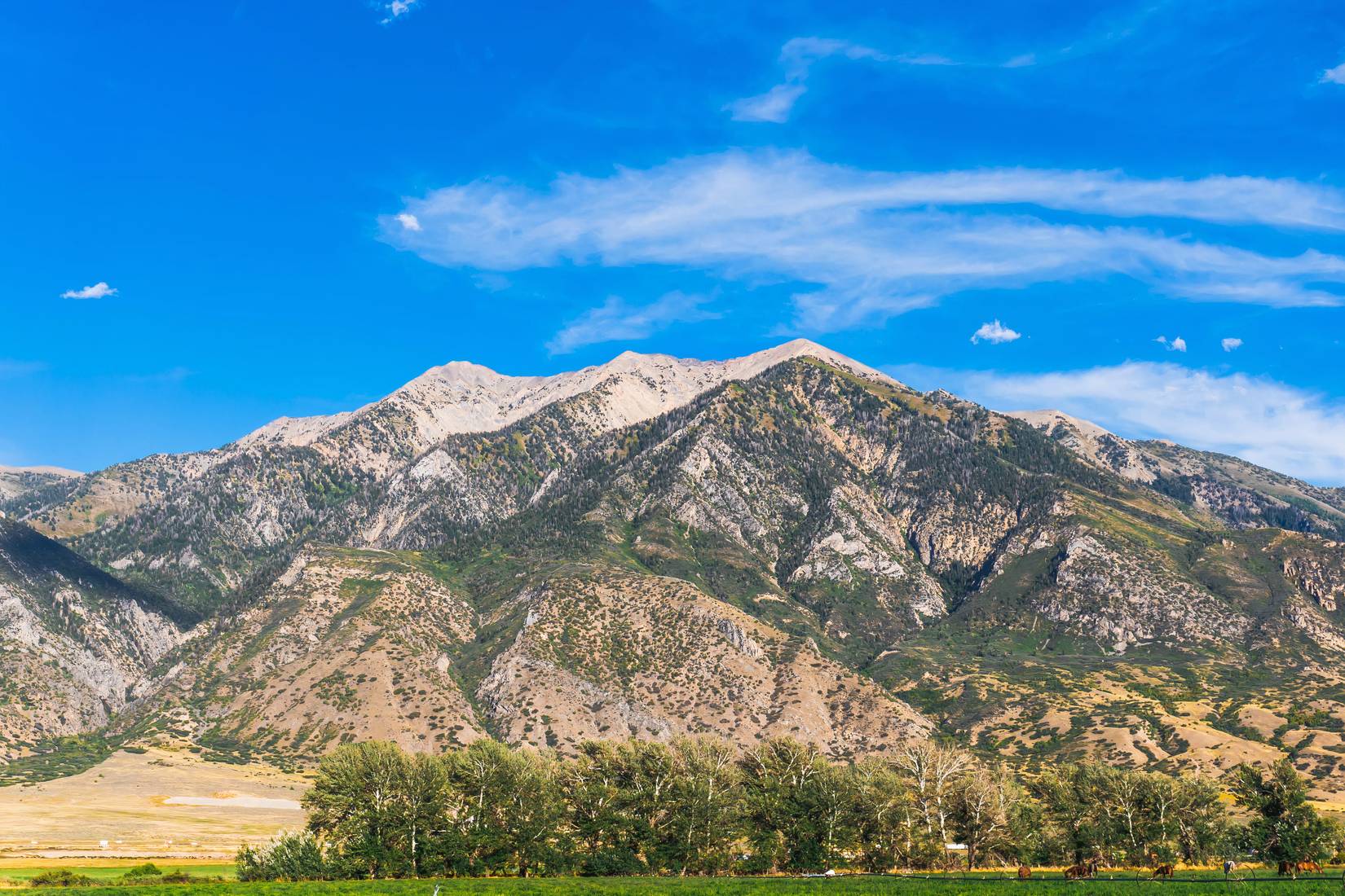 7 Steepest Hikes With The Most Elevation Gain In Utah