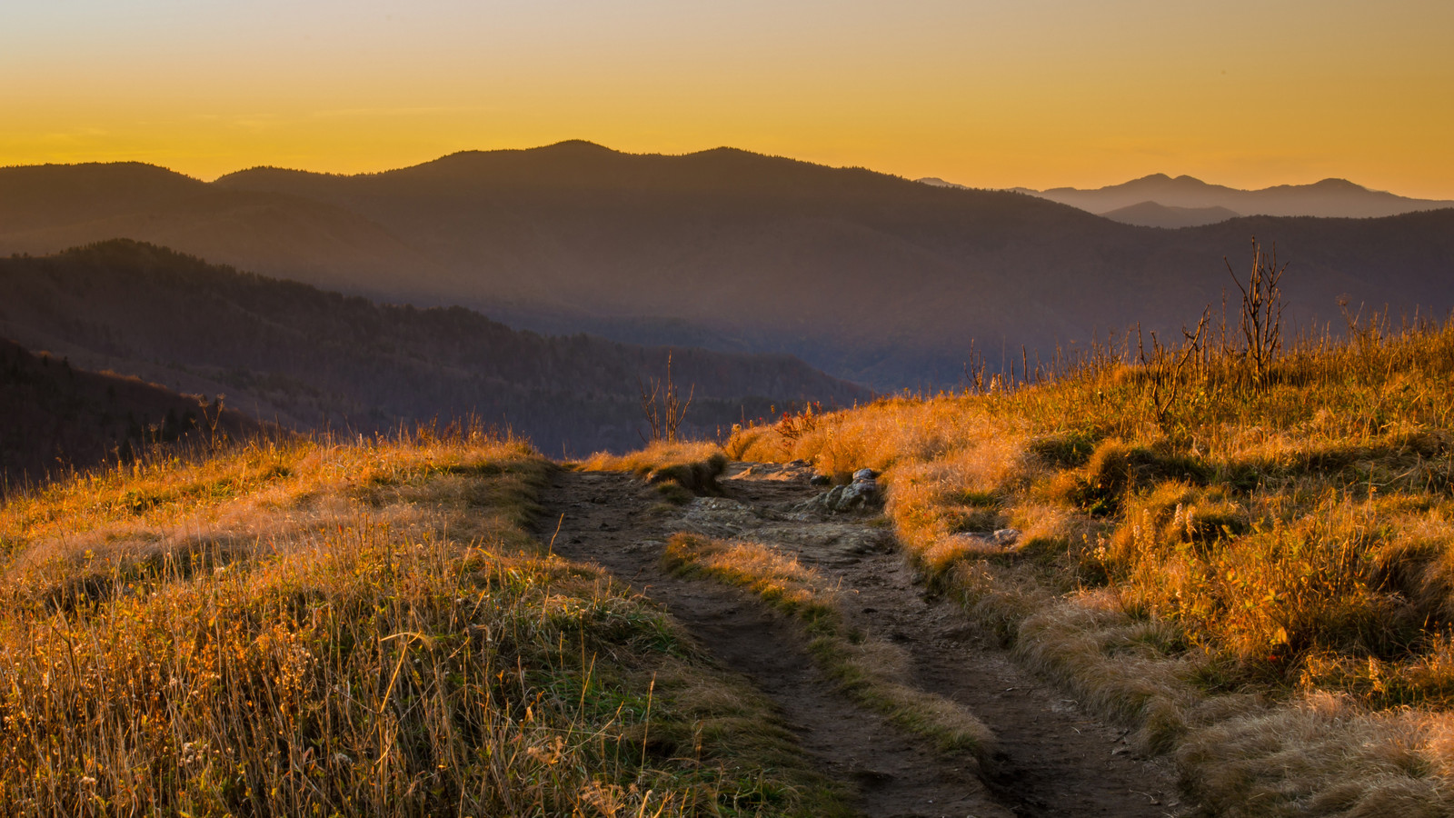 7 Steepest Hikes With The Most Elevation Gain In North Carolina