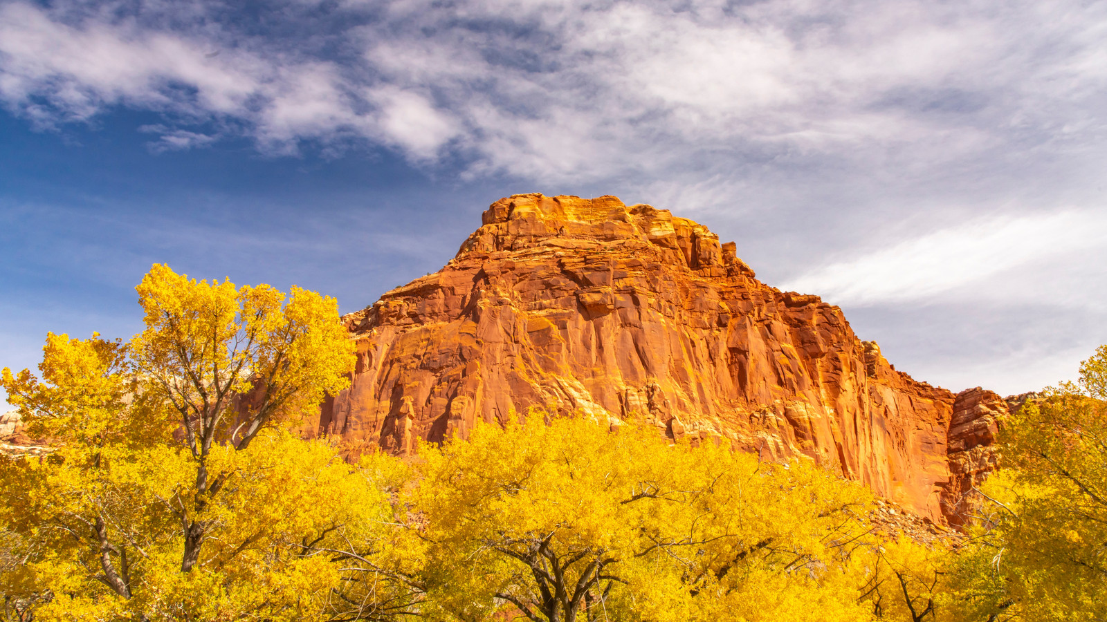 7 Best Places Where You Can See Fall Colors In Utah