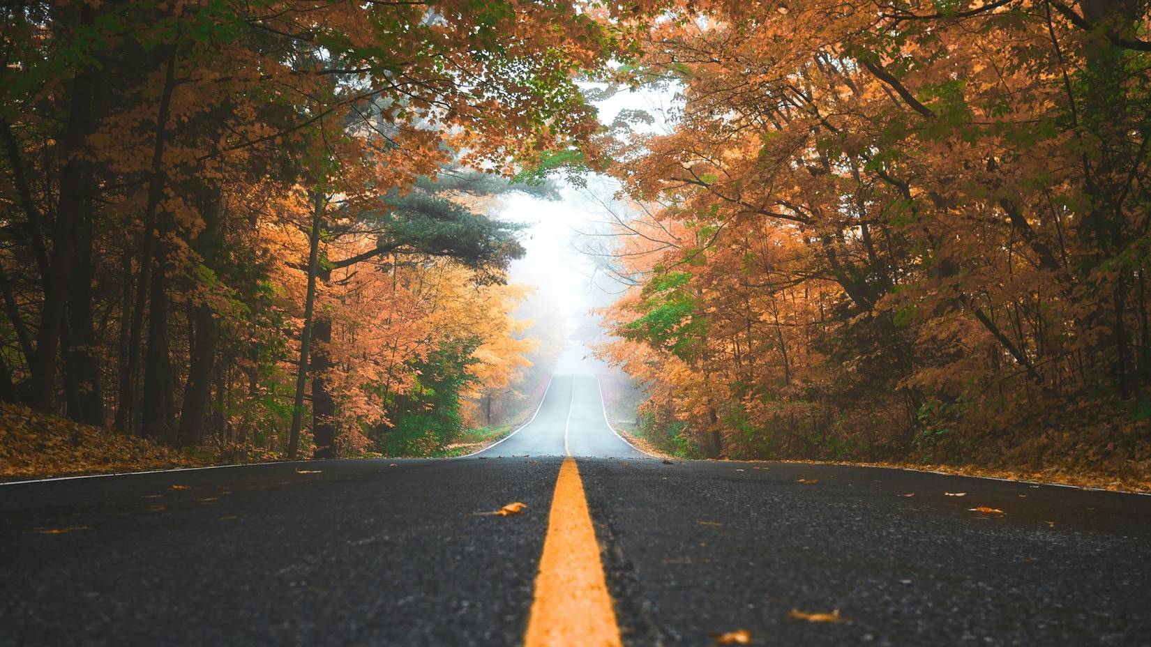 How To Plan The Perfect Fall RV Trip