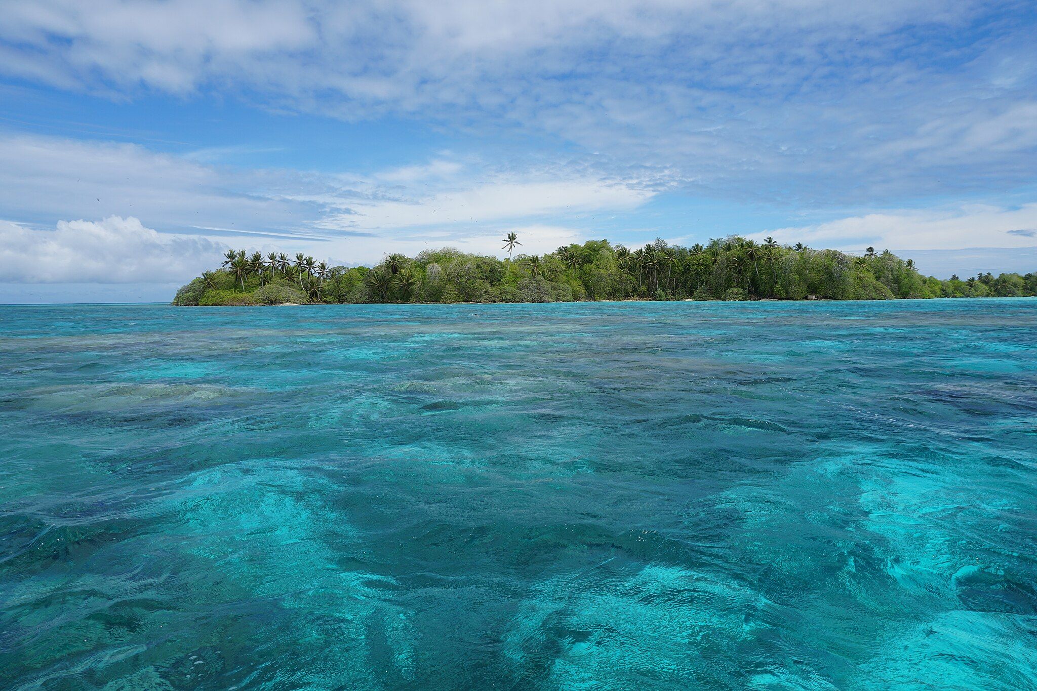 Palmyra Atoll Vacation The Dark Side Of The World's Most Expensive