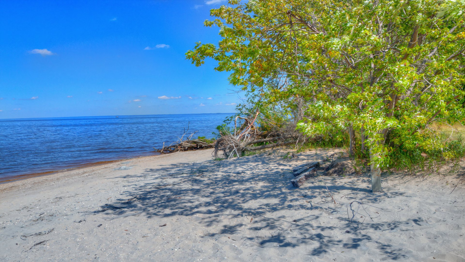 Could This Beach Be Minnesota's "Caribbean"?