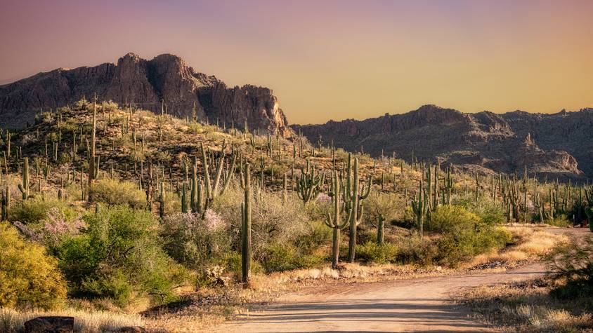 This Underrated State Park Has The Best Fall Foliage In Arizona