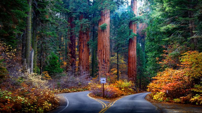 This Underrated Small Town Is Right Next To Sequoia National Park