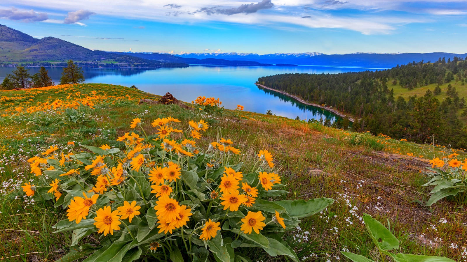 Montana's "Mini" Glacier National Park Lookalike Is The Perfect ...