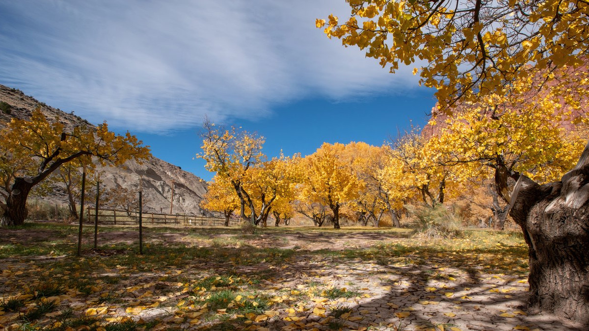 This Underrated State Park Has The Best Fall Foliage In Arizona
